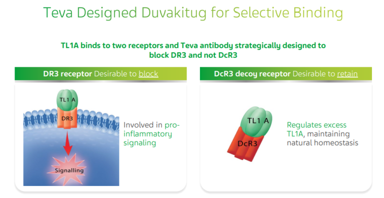 Sanofi/Tevaの抗TL1A抗体duvakitug（デュバキツグ）Ph2b試験RELIEVE UCCDの潰瘍性大腸炎(UC)/クローン病 ...